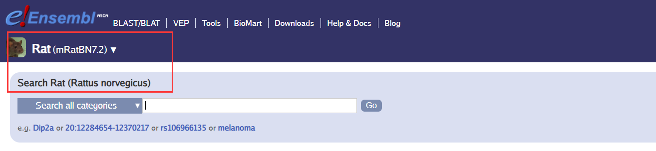 翻译组分析流程 | 宋旭东